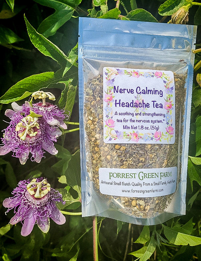 Nerve Calming Headache Tea – Forrest Green Farm