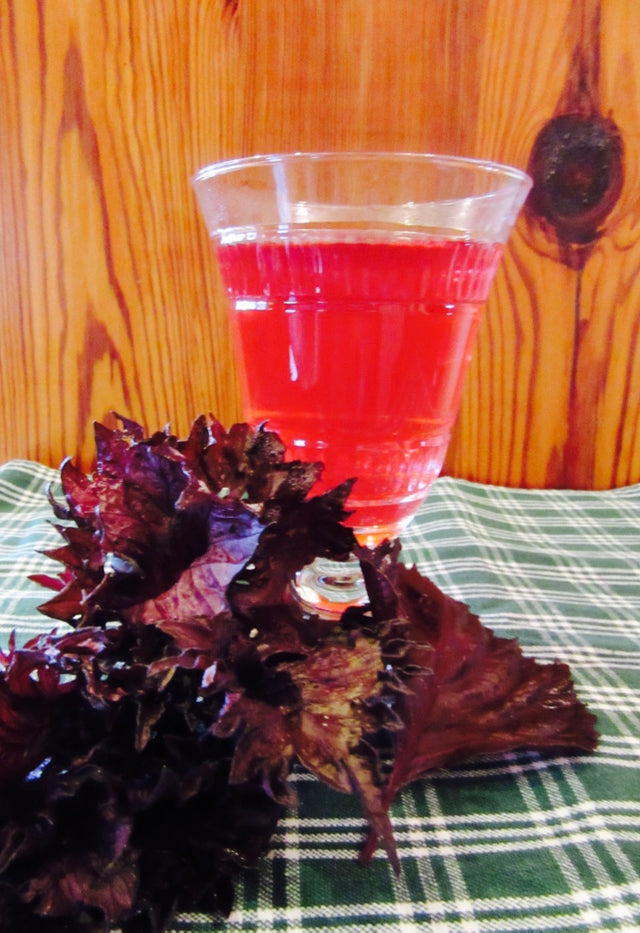 Shiso Tonic Tea – Forrest Green Farm